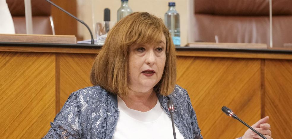 El Parlamento pide a la Junta medidas para prevenir la violencia contra ...