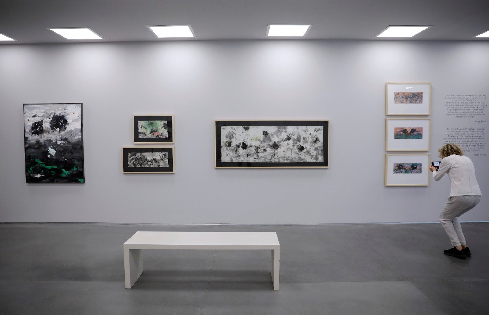 Fotos: La nueva exposición del Museum Jorge Rando enfrenta el último ...