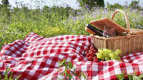 Algunos de los mejores parques para ir de picnic | Diario Sur