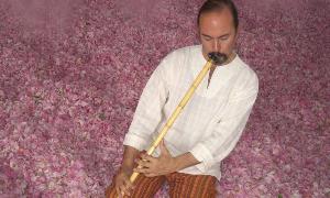 Ignacio Béjar: «La ciencia está descubriendo las posibilidades de la ...