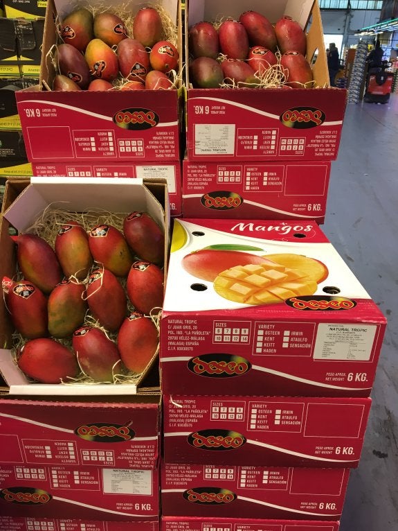 El mango encuentra en Mercamadrid una de sus grandes plataformas de ...